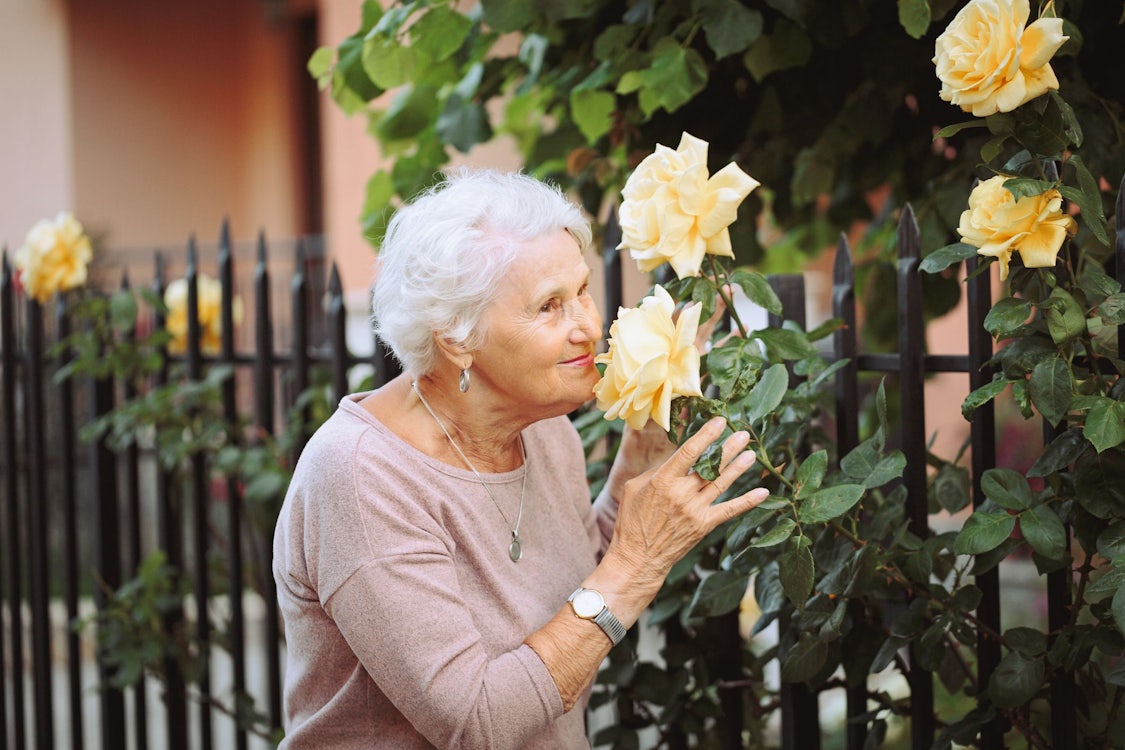 New study sniffs out link between memories of smells and cognitive ...
